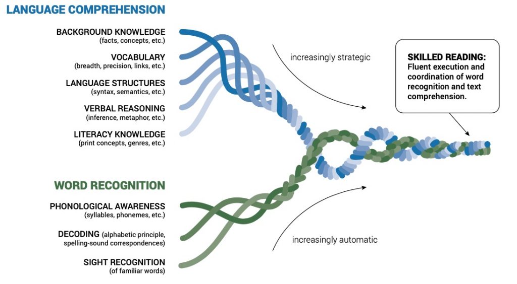 The Science of Reading - Renaissance Australia